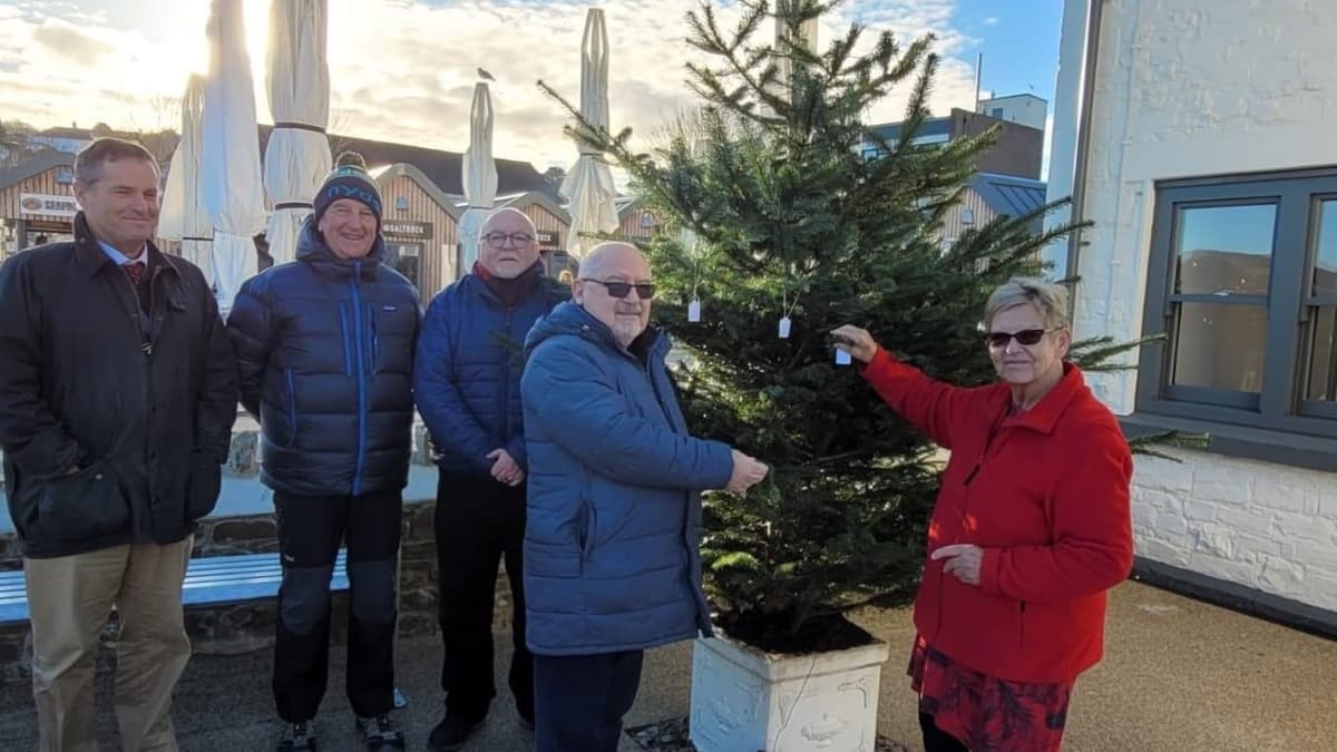 'Memory Tree' returns to Saundersfoot | tenby-today.co.uk